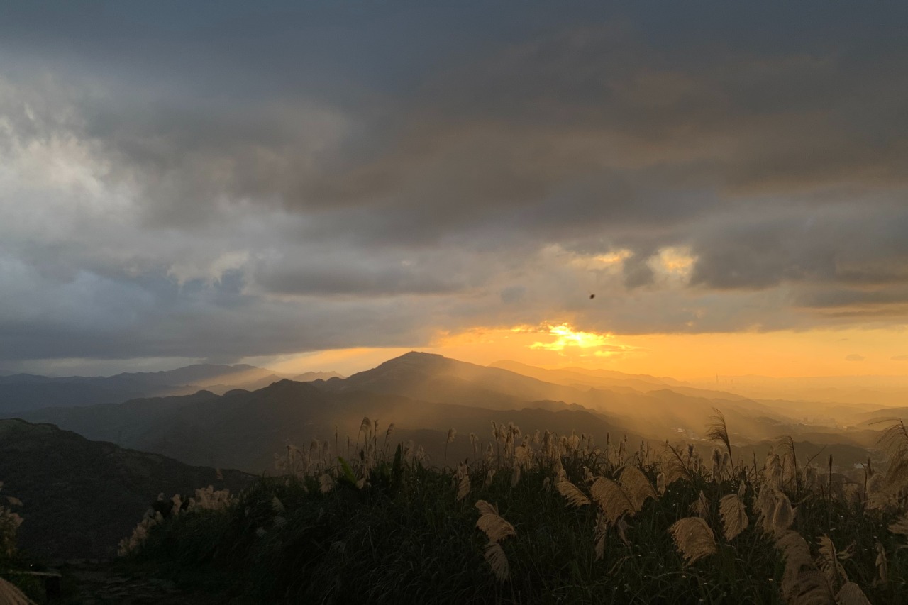 Taiwan Share House 匯僑共生宅